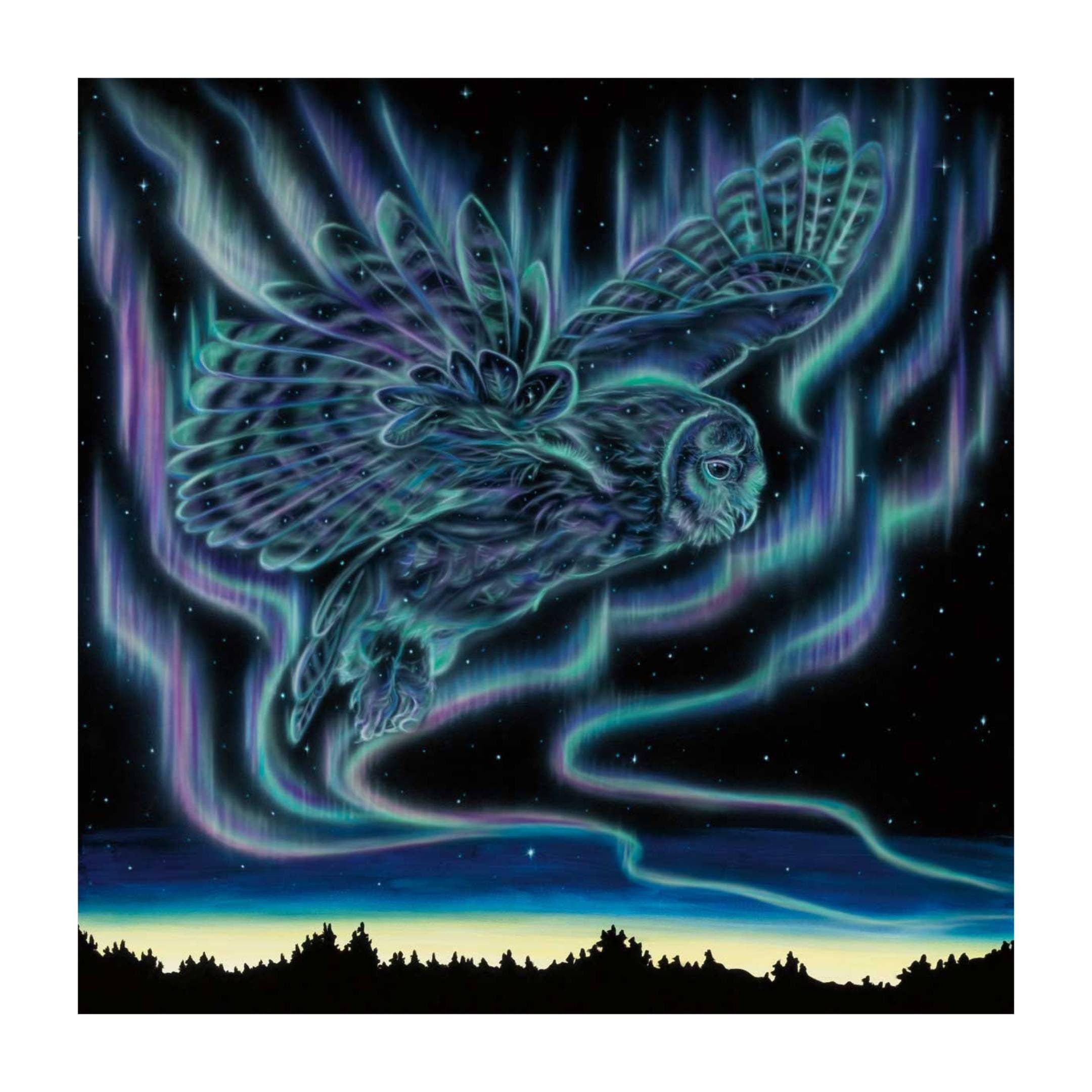 Sky Dance – Owl By Amy Keller-Rempp Indigenous Art Print, First Nation ...